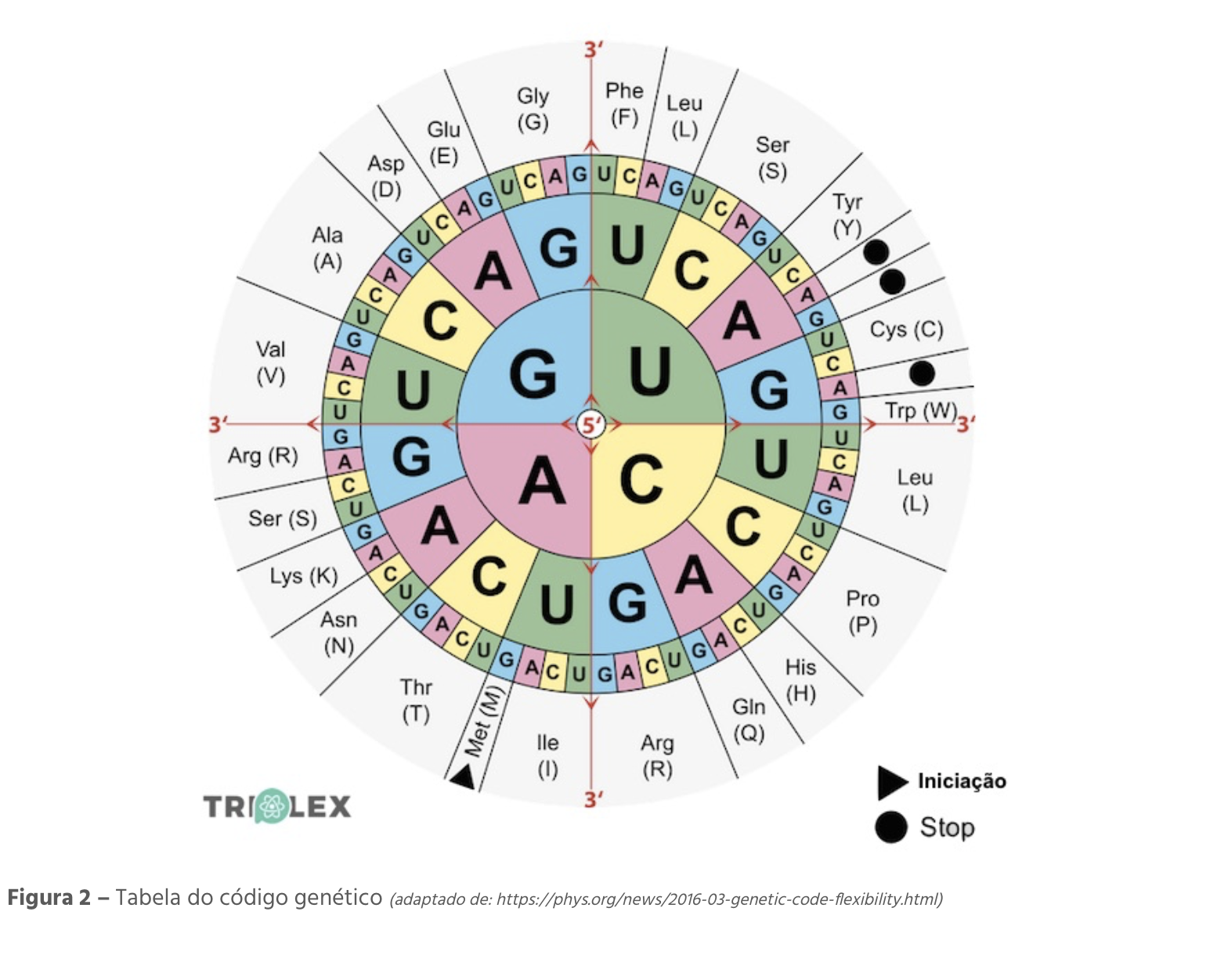 Biologia – 11ºAno – Classion