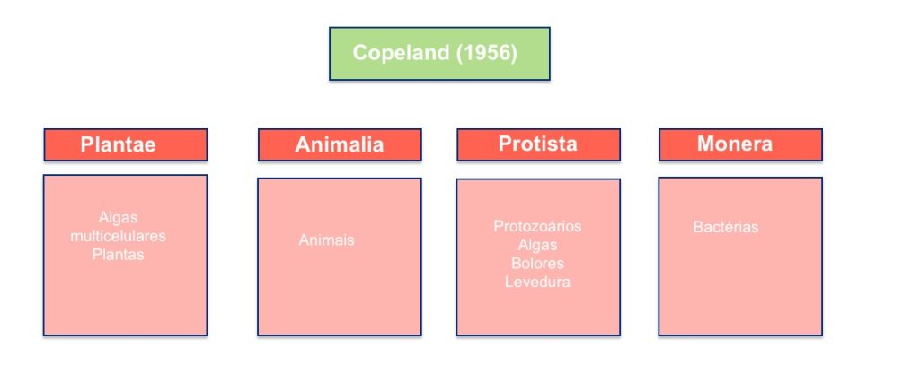 Resumo – Evolução dos sistemas de classificação – Classion