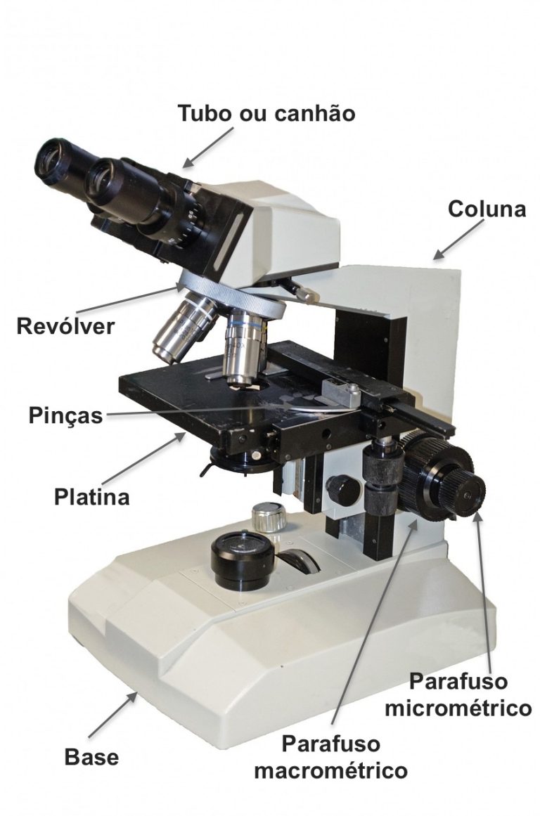 Atividade laboratorial 1 – Microscópio ótico – Classion